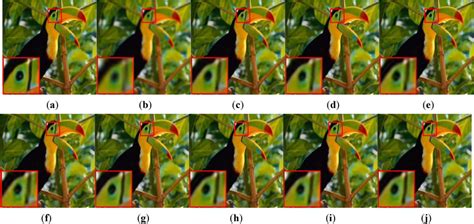 sr results on bird by different methods scaling factor s 3 a