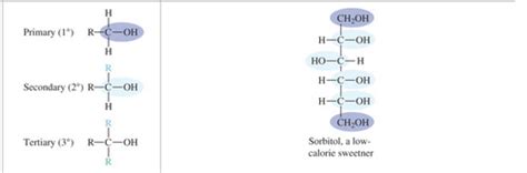 Chapter Organic Functional Groups Flashcards Quizlet