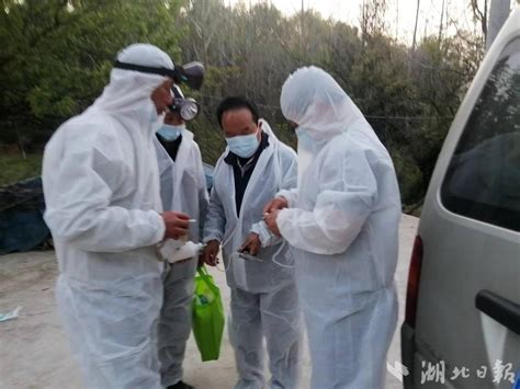 嘉鱼县高铁岭镇开展秋防工作 筑牢动物免疫防线 湖北日报新闻客户端