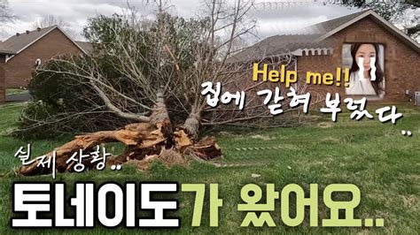 미국시골 일상 토네이도 피해상황 7시간 강제 감금 정전 그리고 그 후 울타리몰 족발 알디 장보기 아마존 언박싱 마라탕 해먹는 미국 브이로그 Youtube