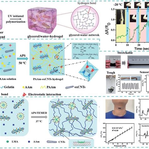 Pdf Nanocomposite Hydrogel Based Strain And Pressure Sensors A Review