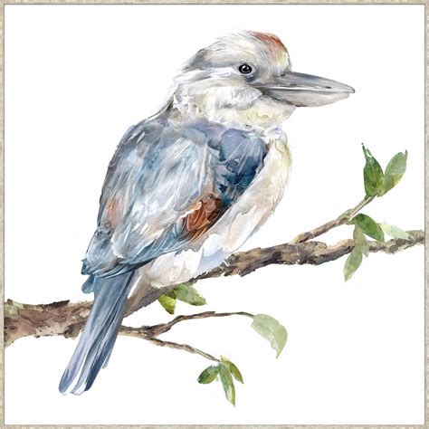 Sitting Kookaburra Framed Canvas Lux And Willow Interiors