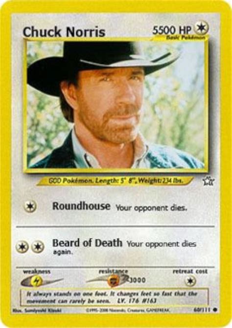 Chuck Norris Facts List