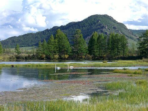 Архангай аймгийн Тариат сум