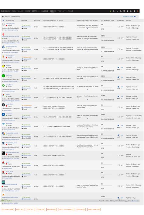 Need Help Understanding Ram Usage Of Docker Runraid
