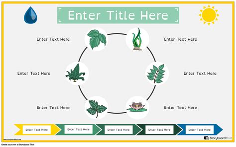 Vědecká Infografika 8 Storyboard By Cs Examples