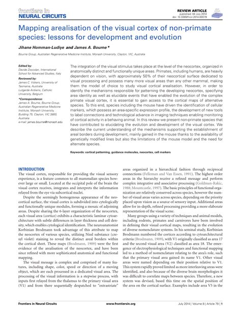 Pdf Mapping Arealisation Of The Visual Cortex Of Non Primate Species
