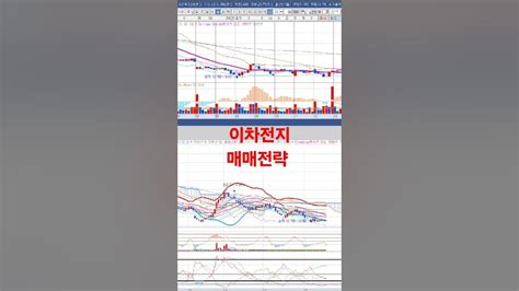 이차전지 대장주 매매전략 에코프로 포스코인터내셔널 롯데에너지머티리얼즈 포스코퓨쳐엠 에코프로 포스코인터내셔널 포스코