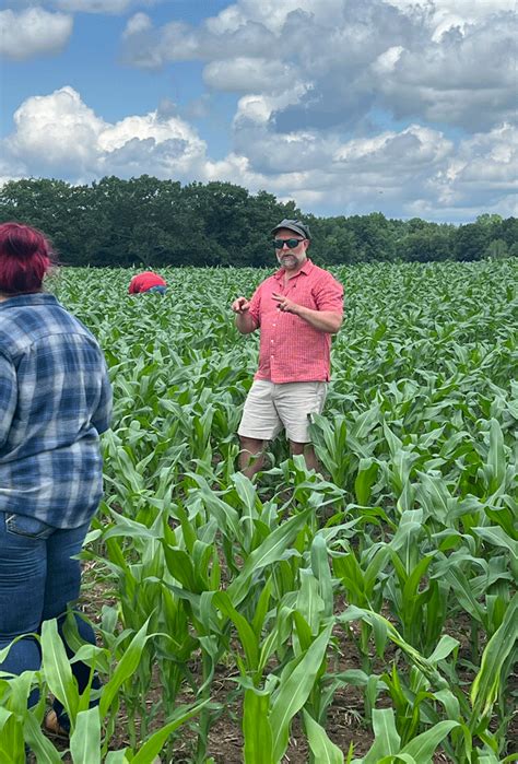 Monitoring Your Corn Pest Management And Nitrogen Supply Country Folks