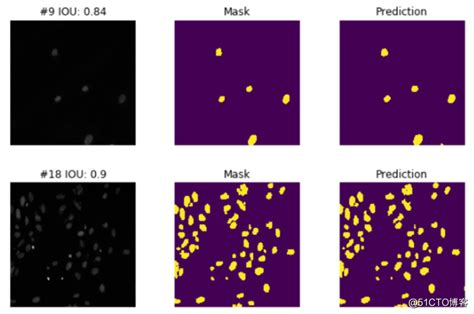 U Net图像语义分割实战：训练自己的数据集人工智能bjcc81227 Damo开发者矩阵