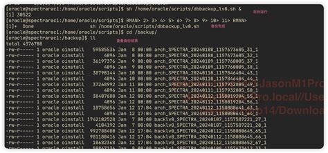 Oracle 本地部署 Rman 备份脚本定时备份数据库 87年的脚本 Oracle 本地部署 Rman 备份脚本定时备份数据库 87年的脚本