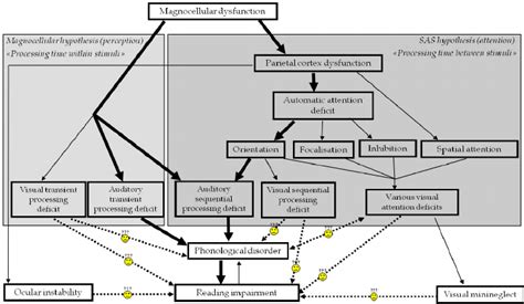 Schematic Syntheses Of The Causal Cascade Plain Arrows Suggested By