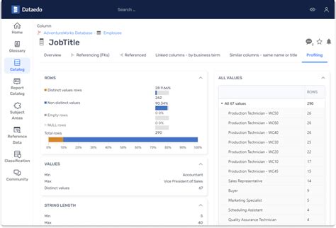 Data Profiling Tool