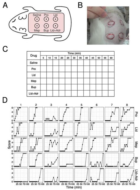 medicines free full text development of a predictive statistical