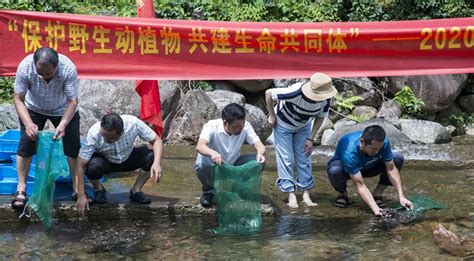 关于我们 成都南易生态 河湖健康评价 珍稀物种调查 濒危物种调查