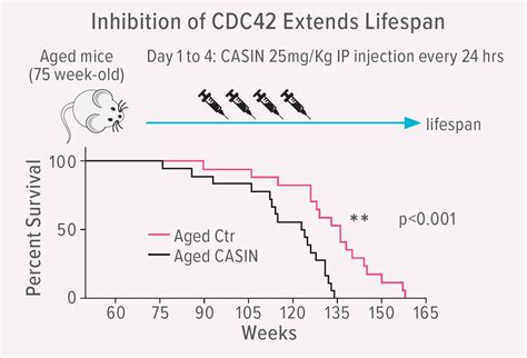 Innovation Ventures Research Horizons