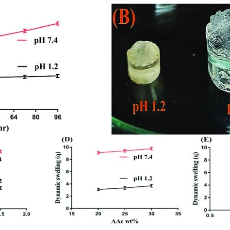 A Effect Of Ph On Dynamic Swelling B Swelled Hydrogel At Ph 1 2 Download Scientific