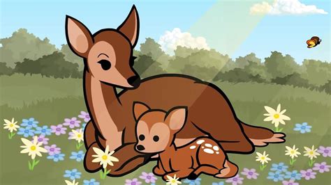 Nature Wank Video Thisvid Com