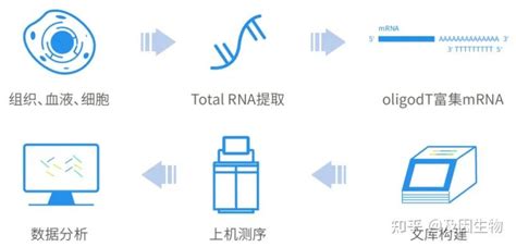 技术介绍丨一文带您了解转录组学及结果解读！ 知乎