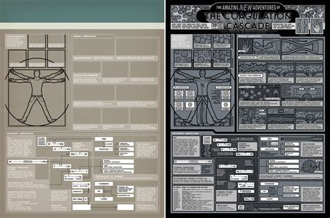 Complex Timeline Design On Behance