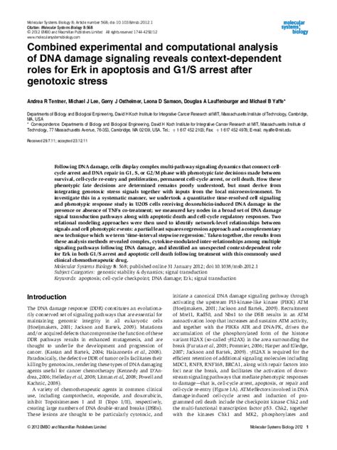 pdf a combined experimental and computational analysis of dexamethasone conjugated silver