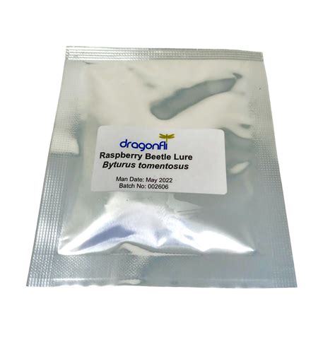 Raspberry Beetle Trap Including Attractant Lure Dragonfli