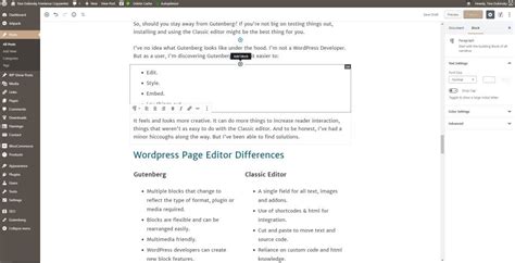 The New Wordpress Gutenberg Editor Tina Dubinsky Blogger