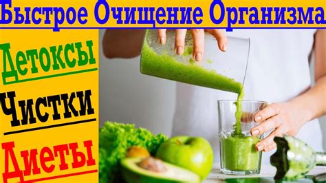Как быстро очистить организм Лучшие детоксы чистки диеты Youtube