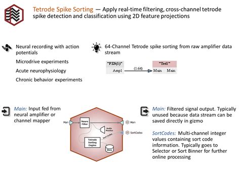 tetrode spike sorting synapse manual