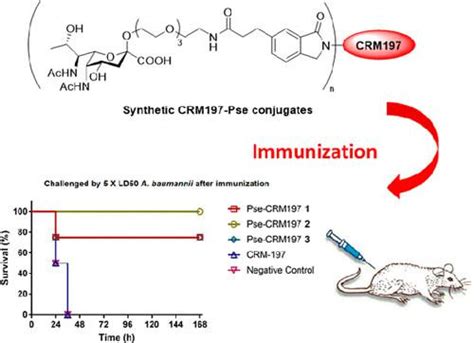Antibacterial Vaccine Against Acinetobacter Baumannii Infection Innovation Hub Hk