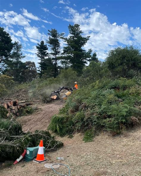 Gallery Tree Services Tree Removal Mulch Sales Adelaide