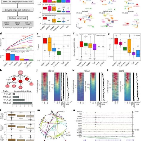 benchmark of scenic and other single cell multiomics grn inference