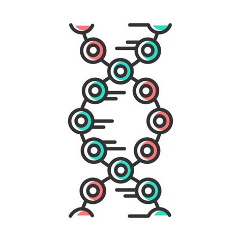 Nucleic Acid Drawing Illustrations Royalty Free Vector Graphics And Clip