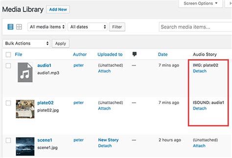 How To Add Audio Stories To Images In WordPress