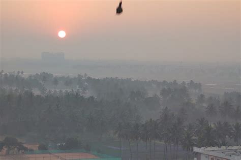 Vimss Substack Substack