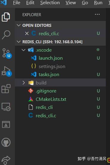 vscode在win下远程调试linux cmake （c c ） vscode远程linux调试板卡程序 还需要在linux上安装一个什么