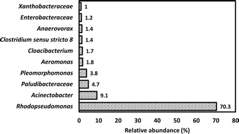 Microbial Community Dynamics Of Preliminary Assessment Showing Relative