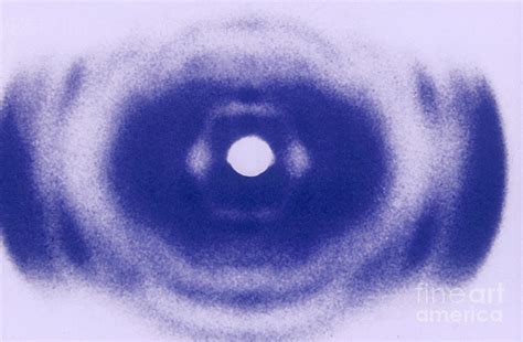 Early X Ray Of Dna Photograph By Science Source Fine Art America