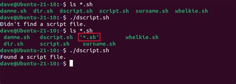 How To Use Double Bracket Conditional Tests In Linux
