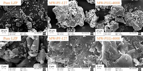 Figure 3 From Development Of A Multifunctional Oral Dosage Form Via Integration Of Solid