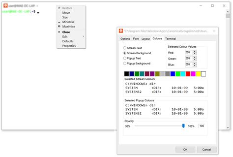 Windows Os Run Ubuntu Esru Software Documentation