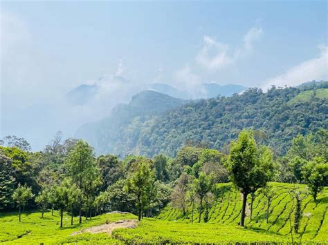 Shreya Thalanki On Linkedin Picturesque Postcard Come Alive