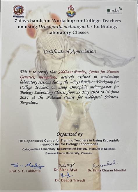 Siddhant Pandey On Linkedin In May 2024 I Had The Privilege Of