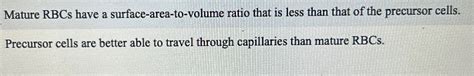 Solved Mature Rbcs Have A Surface Area To Volume Ratio That