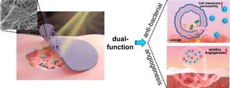 包含cu2 掺杂的超长羟基磷灰石纳米线和黑磷纳米片的柔性光热生物纸用于加速感染伤口的愈合 Chemical Engineering Journal X Mol