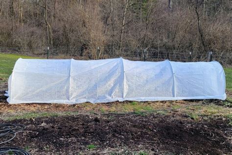 How To Make A Polytunnel That Will Last Forever Reasons You Need One