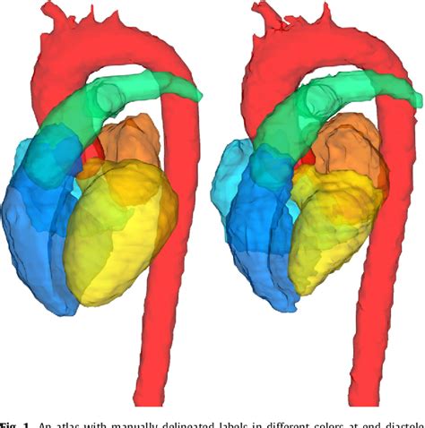 Figure 1 From Automated Multi‐atlas Segmentation Of Cardiac 4d Flow Mri Semantic Scholar