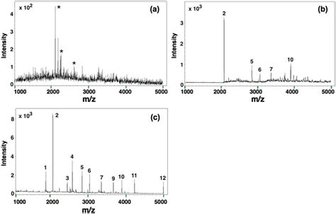 Maldi Tof Tof Mass Spectra Of The Tryptic Digest Of 0 1 Ng μl Hrp A Download Scientific