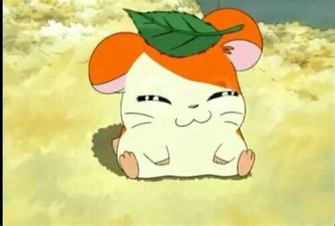 Pin By Miriam On Hamtaro Hamtaro Cartoon Profile Pics Cute Anime