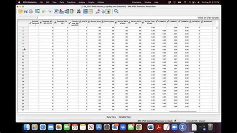 Recode Do If Else Spss Command Enlistedcommissioned Youtube